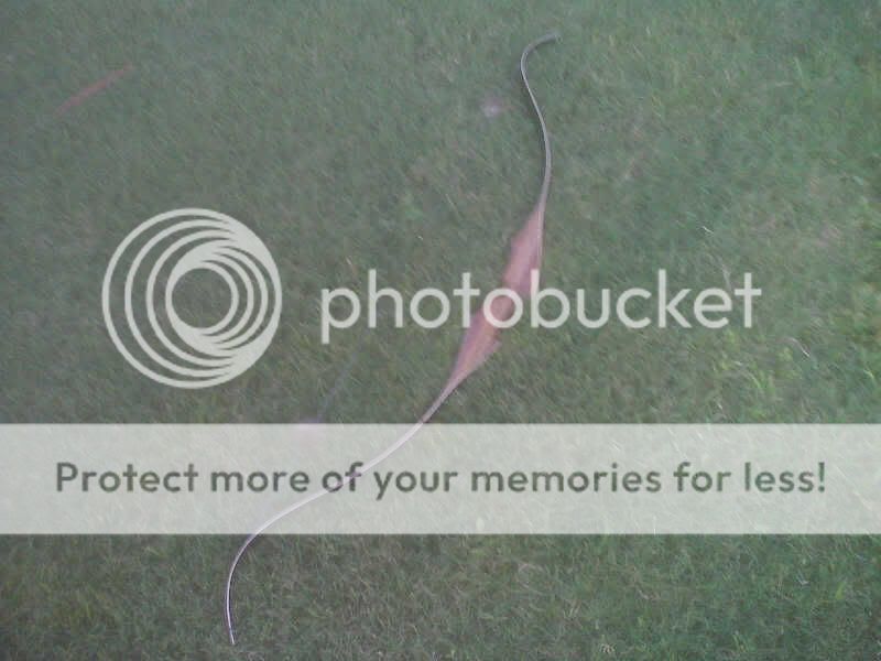 Traditional Archery | Archery Talk Forum