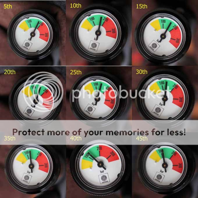 steyr lg110hunting grouping | Steyr | Shooting the breeze - The airgun ...